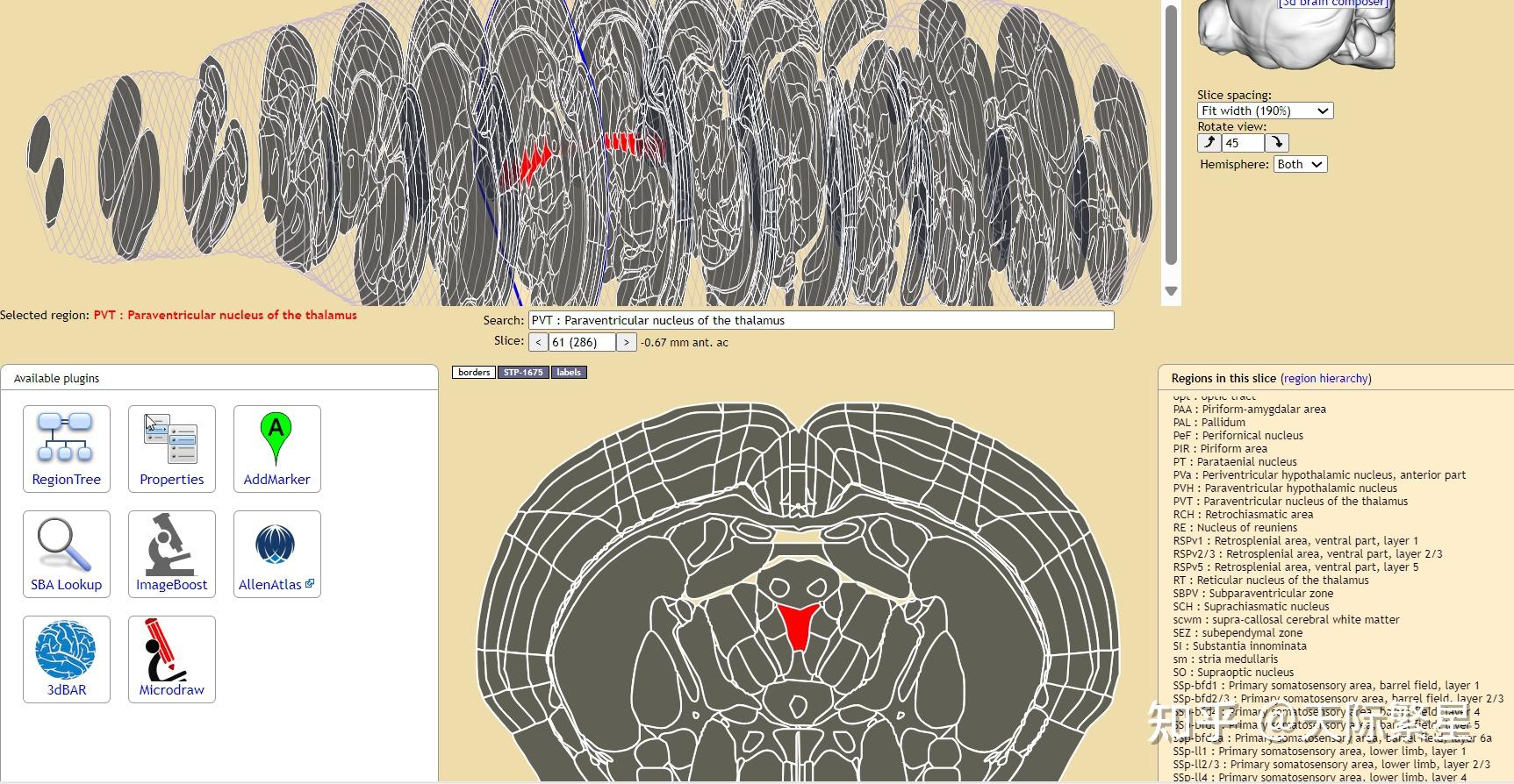 Scalable Brain Atlas使用 - 知乎