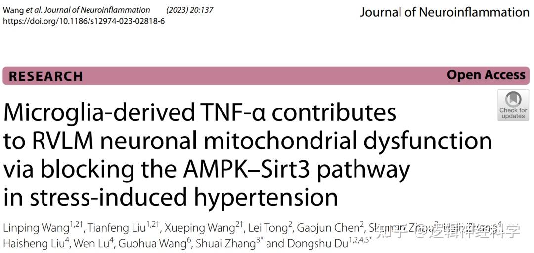 J Neuroinflammation︱上海大学杜东书/张帅团队揭示小胶质细胞来源的TNF-α影响RVLM神经元线粒体功能调控应激性高血压机制 ...