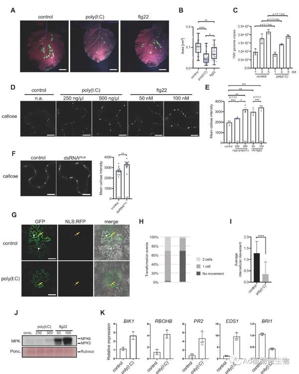 Plant Cell | 研究揭示植物免疫限制病原体侵染和被其“反击”抑制的机制！ - 知乎