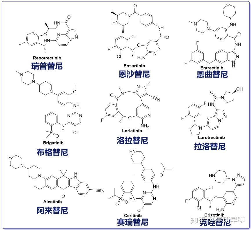从靶向药“新贵”瑞普替尼（Repotrectinib）看小分子大环化 - 知乎