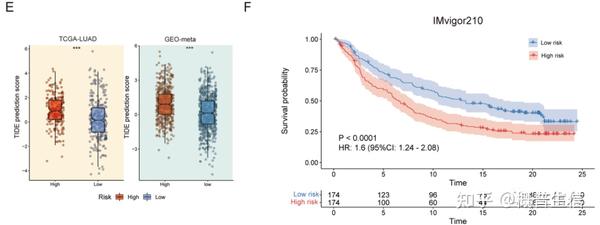 公开单细胞数据如何发到7+ - 知乎