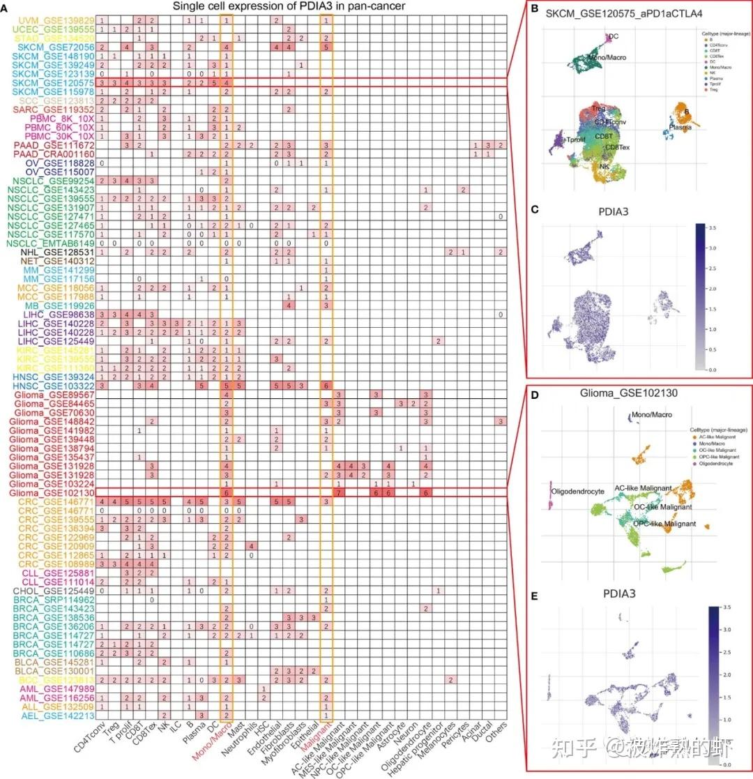 免疫微环境 | 单细胞数据库TISCH2 - 知乎