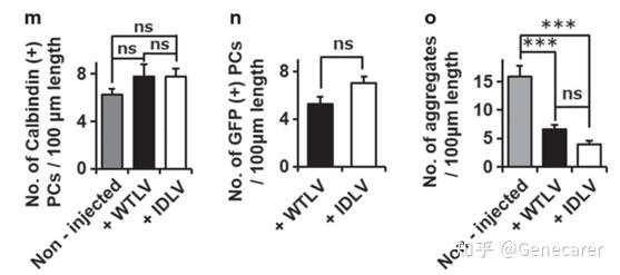 非整合酶慢病毒（IDLV）在动物模型构建中的应用举例 - 知乎