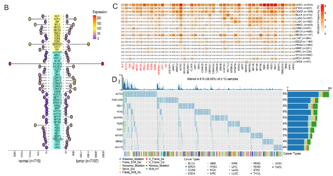 Nature高分综述提醒你关注”昼夜节律”！基于生物钟基因进行泛癌分析~常规评分模型思路也能拿下8分+纯生信！ - 知乎