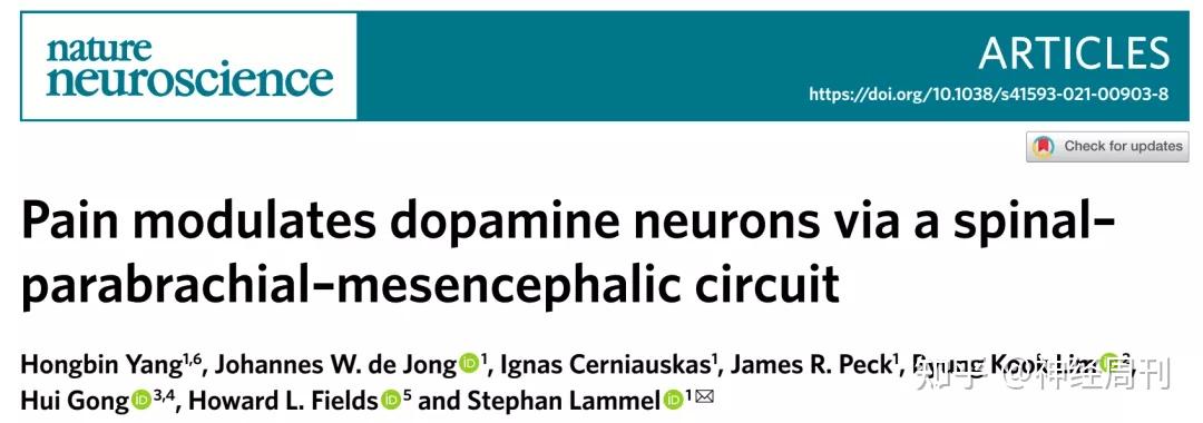 国产之光fMOST助力美国科学家揭示疼痛抑制多巴胺释放的神经环路 - 知乎