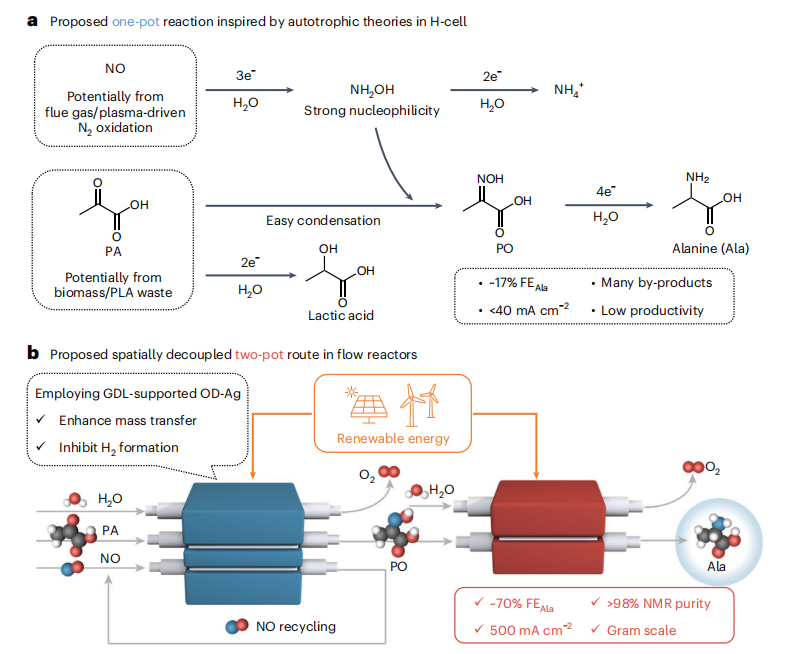天大张兵Nat. Catal.：只需两步，电合成氨基酸！ - 知乎