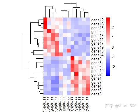 使用pheatmap包绘制热图 - 知乎