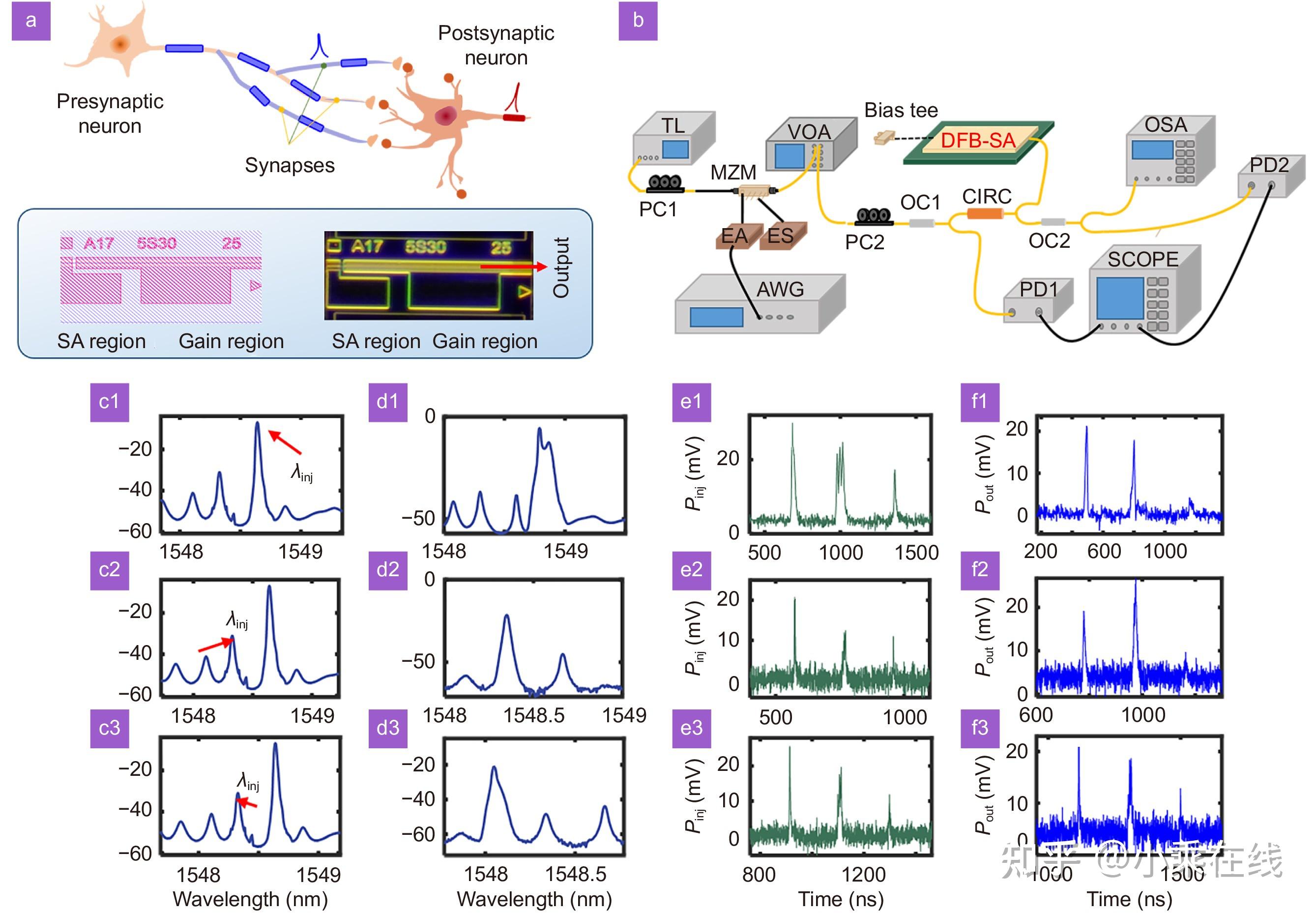 Pattern recognition in multi-synaptic photonic spiking neural networks based on a DFB-SA chip - 知乎