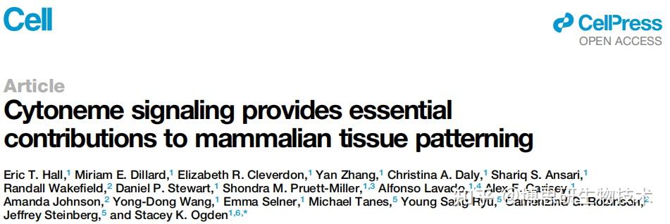 Cell | 细胞间信息管道cytoneme对哺乳动物形态发生的重要性 - 知乎