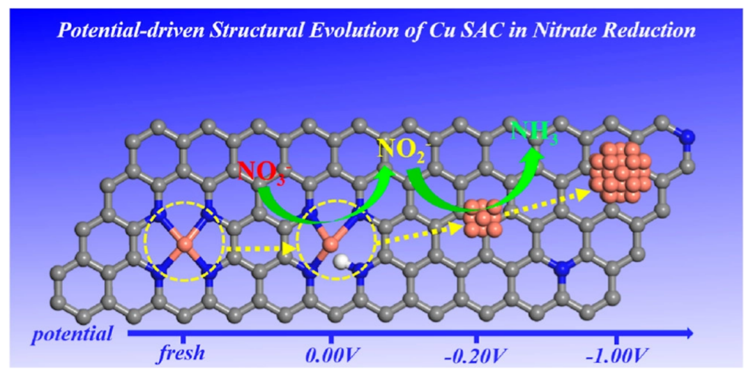 先发JACS再发Angew，细说单原子催化剂的重构现象！ - 知乎