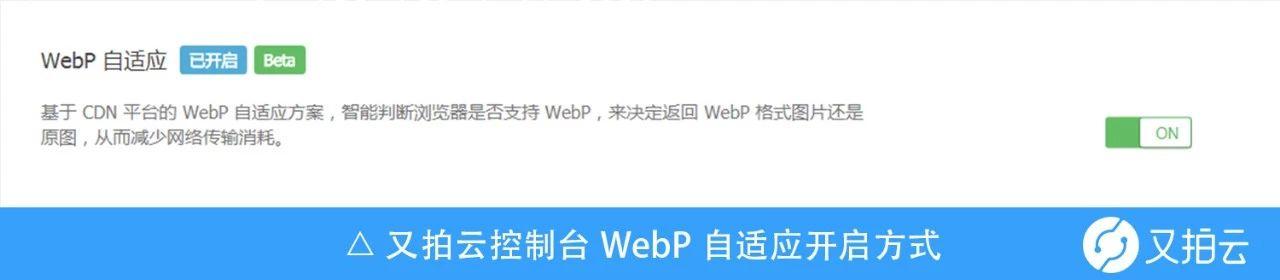 WebP 大战 JPEG，谁才是真正的王者？ - 知乎
