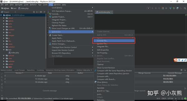 phpstorm中配置使用svn详细步骤 - 知乎
