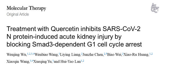 Mol Ther︱蓝辉耀团队发现中药单体槲皮素有望成为治疗新冠病毒N蛋白诱导急性肾损伤的有效药物 - 知乎