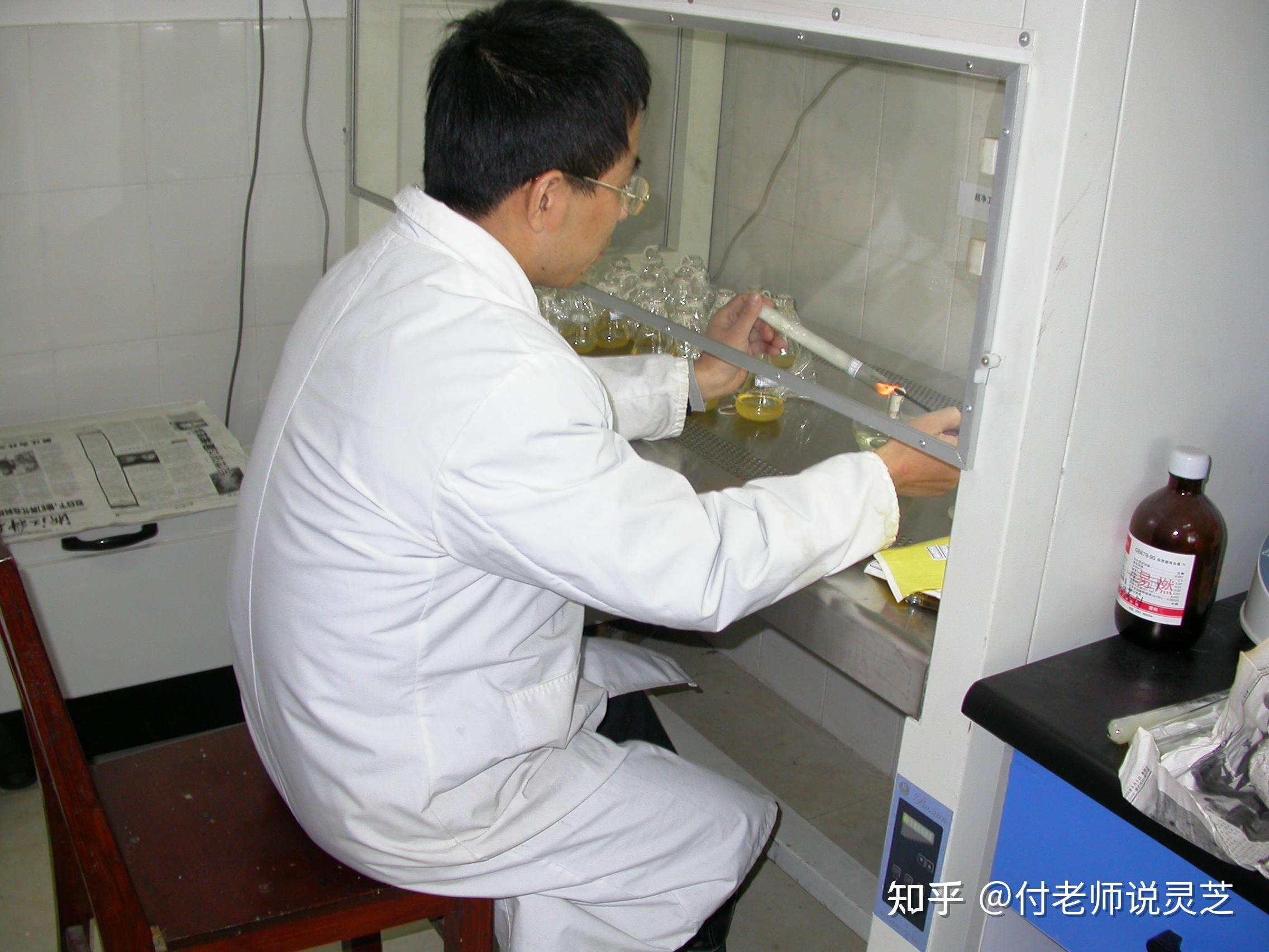 药用菌栽培——发酵培养 - 知乎