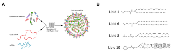 【耀文解读】综述|一文读懂LNP递送系统赋能CRISPR/Cas9肿瘤治疗应用 - 知乎