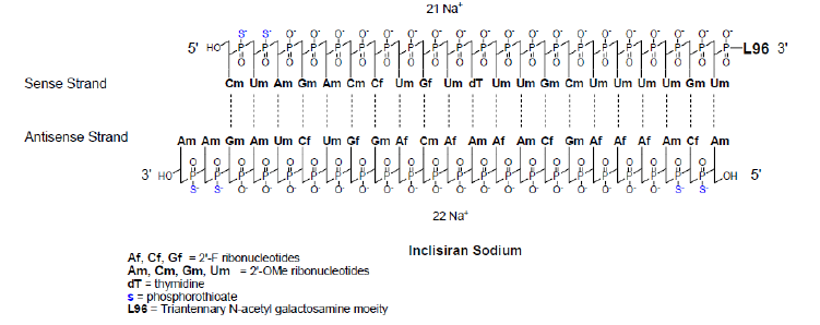 小核酸药物的基石—核苷单体 - 知乎