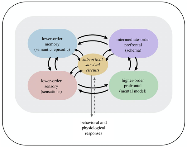从求生行为，到意识的起源，神经科学大佬LeDoux自传式深度探讨 - 知乎