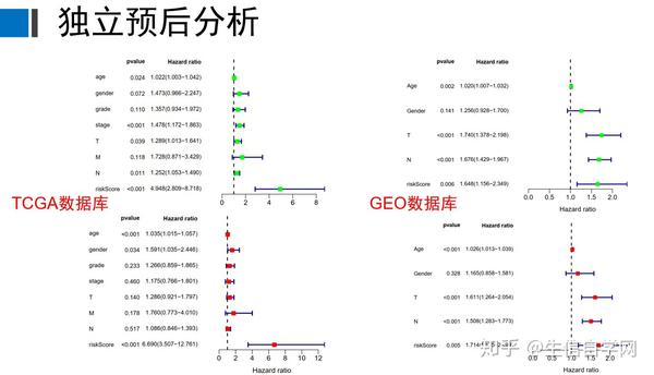 代谢基因预后模型文章套路(TCGA和GEO数据库相互验证) - 知乎