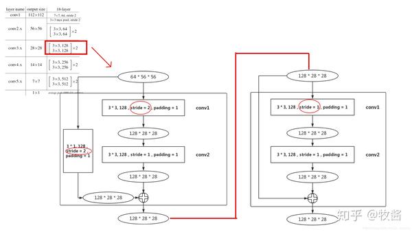 ResNet网络结构分析 - 知乎