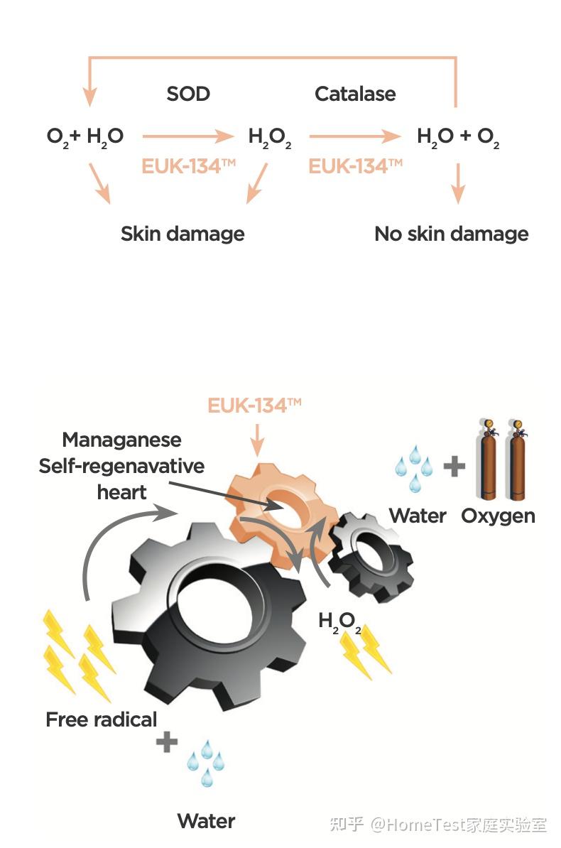 抗氧化王者系列之--EUK 134 - 知乎