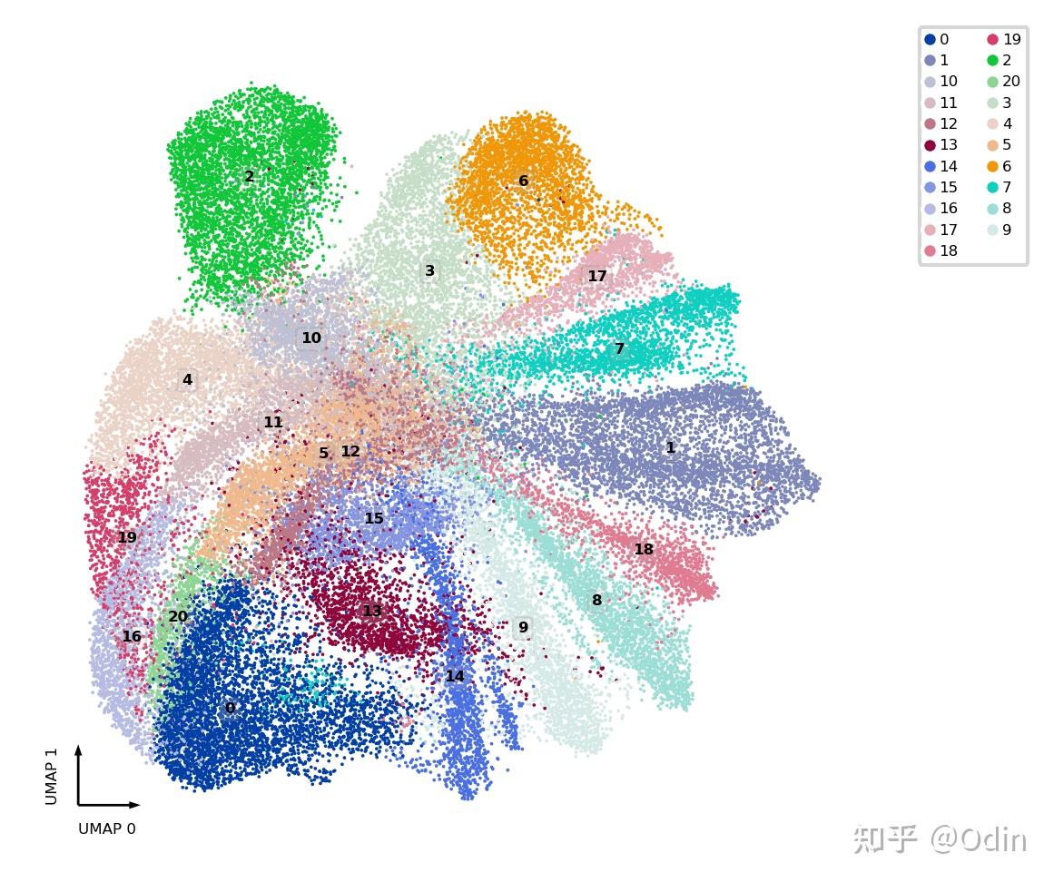 教程：用scanpy和squidpy分析单细胞空间转录组数据 - 知乎