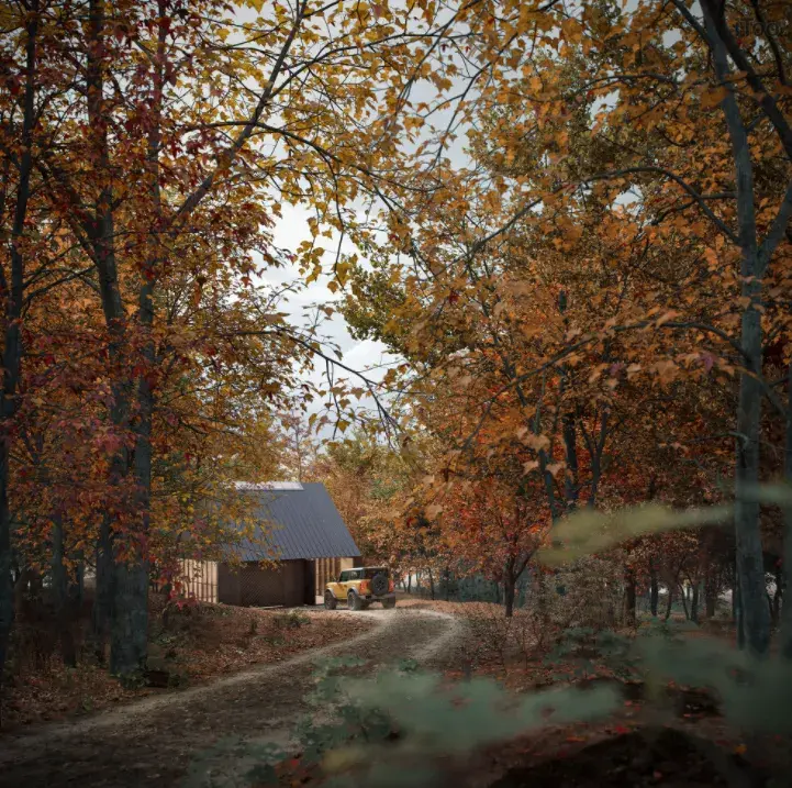 【插件】3ds Max强大的森林树木植物插件Forest Pack Pro - 知乎