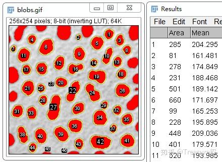 ImageJ实用技巧——面积测量综述 - 知乎