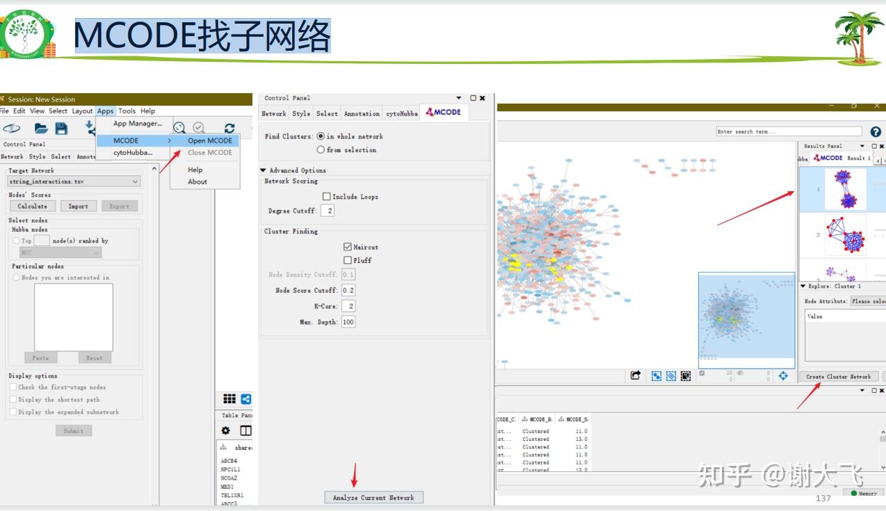 使用Cytoscape插件进行高级美化 - 知乎
