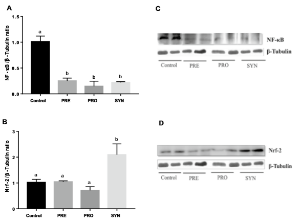 添加植物化合物EGCG和益生菌LF对衰老小鼠免疫应答和抗氧化能力的调节作用 - 知乎