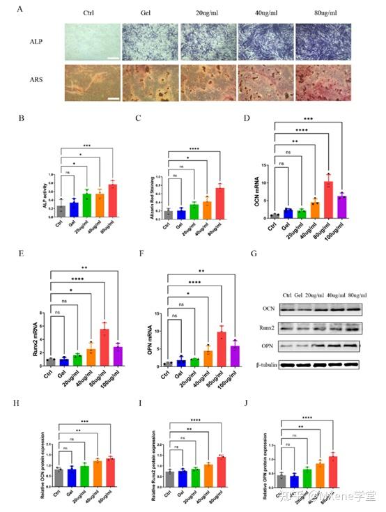 Mo2Ti2C3 MXene基水凝胶修复中神经形成和骨再生能力 - 知乎