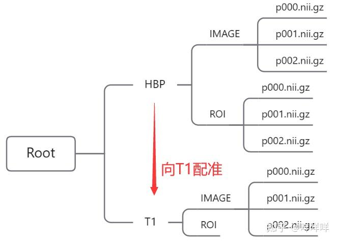 FSL用于脑部MRI图像配准: （flirt与ants刚性与弹性配准） - 知乎