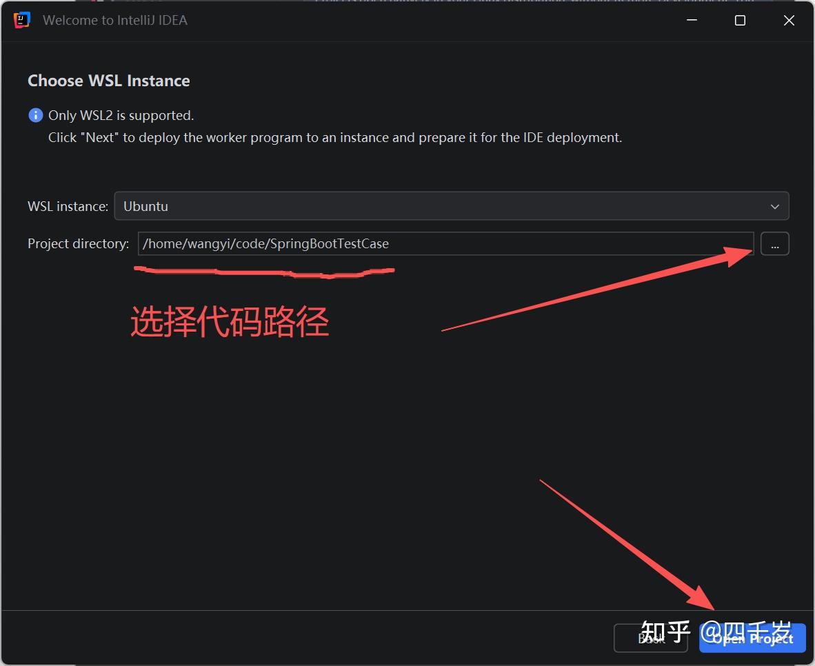 踩坑无数总结：IDEA+WSL 连接、配置、运行全攻略 - 知乎