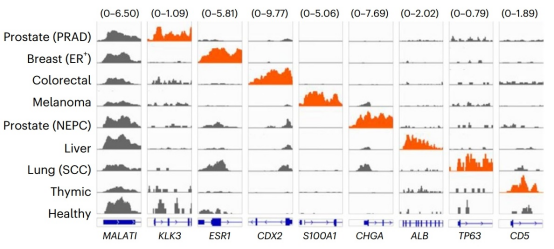cfChIP-seq：cfDNA/血浆游离核小体ChIP-seq测序服务 - 知乎