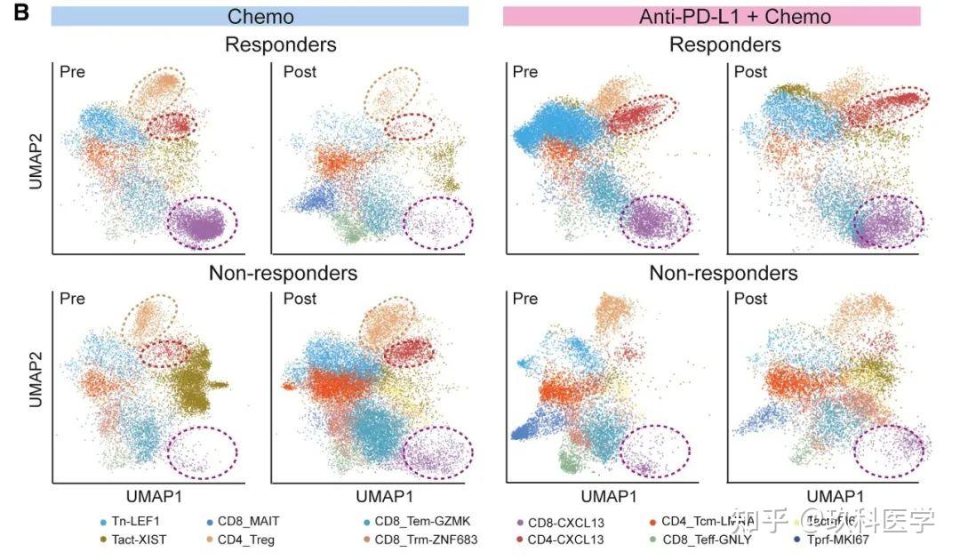 PD-1/PD-L1|国自然肿瘤免疫领域中的热门分子 - 知乎
