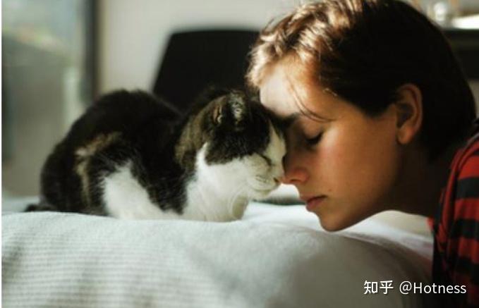 猫和人类是如何相处的? 知乎