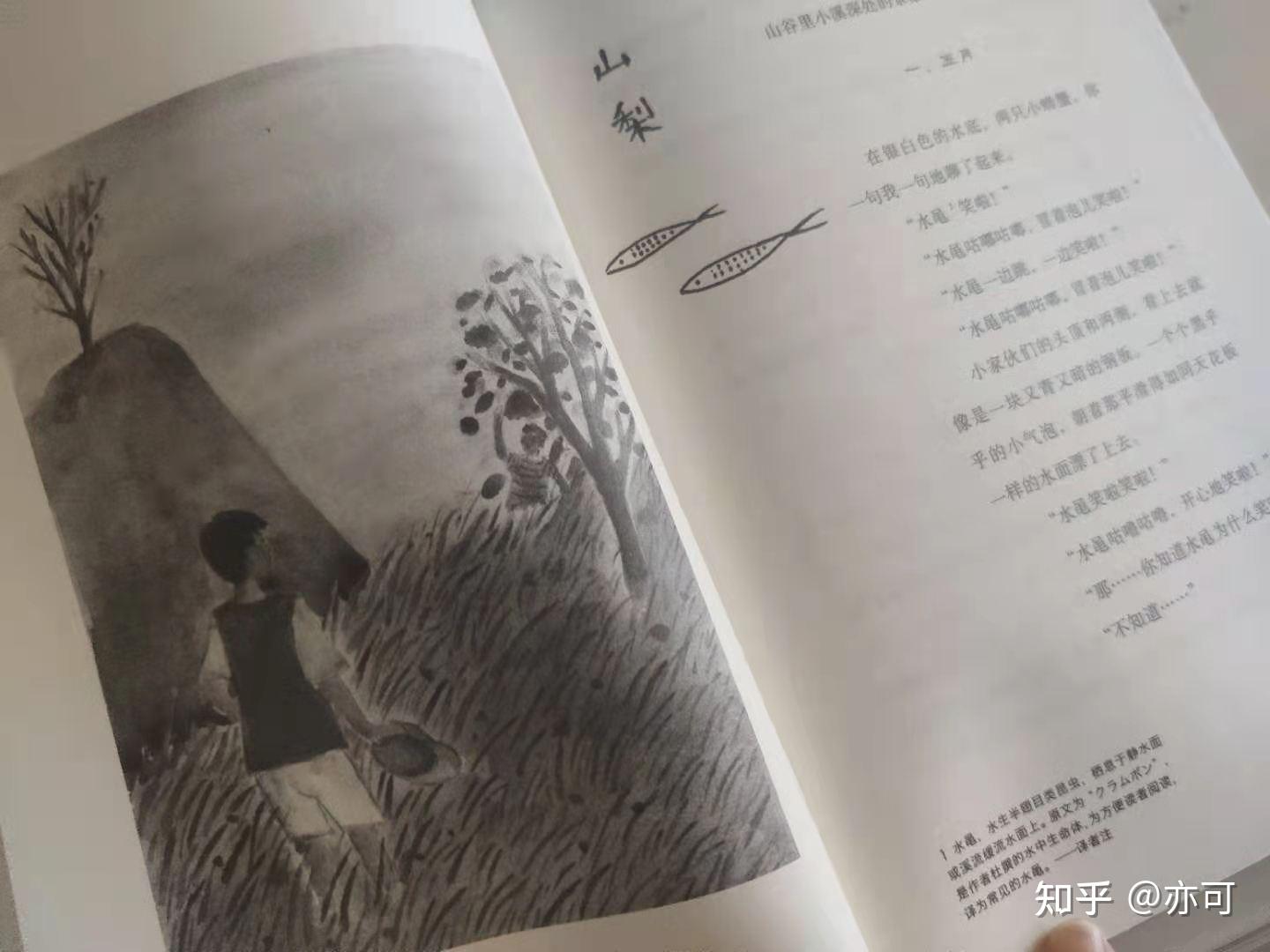 宫泽贤治《风又三郎》:有现实意义的哲理童话