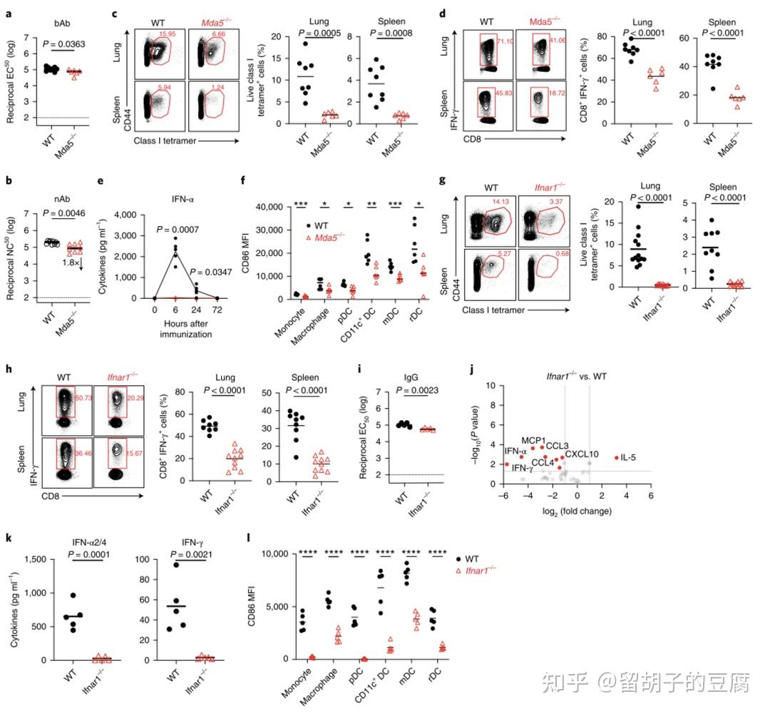 新冠|辉瑞BNT162b2 mRNA疫苗的免疫机制 - 知乎