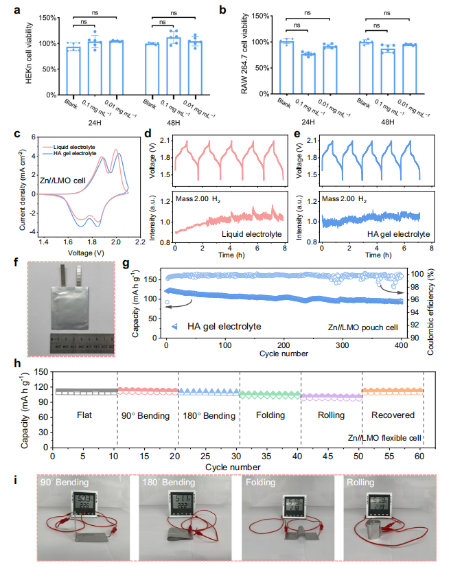 学术前沿|Nat. Commun.：加点玻尿酸！提高锌电性能 - 知乎