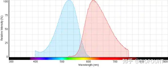 EthD-1 (同二聚乙锭-1,Ethidium Homodimer-I) - 知乎