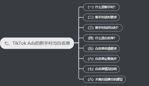 TikTok Ads实操案例最强干货！全面了解TK的Ads投放技巧！ | TKFFF首页
