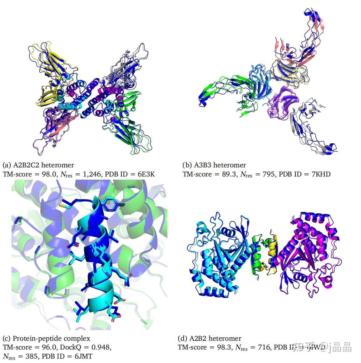 AlphaFold-Multimer：蛋白质复合物结构预测的新突破 - 知乎