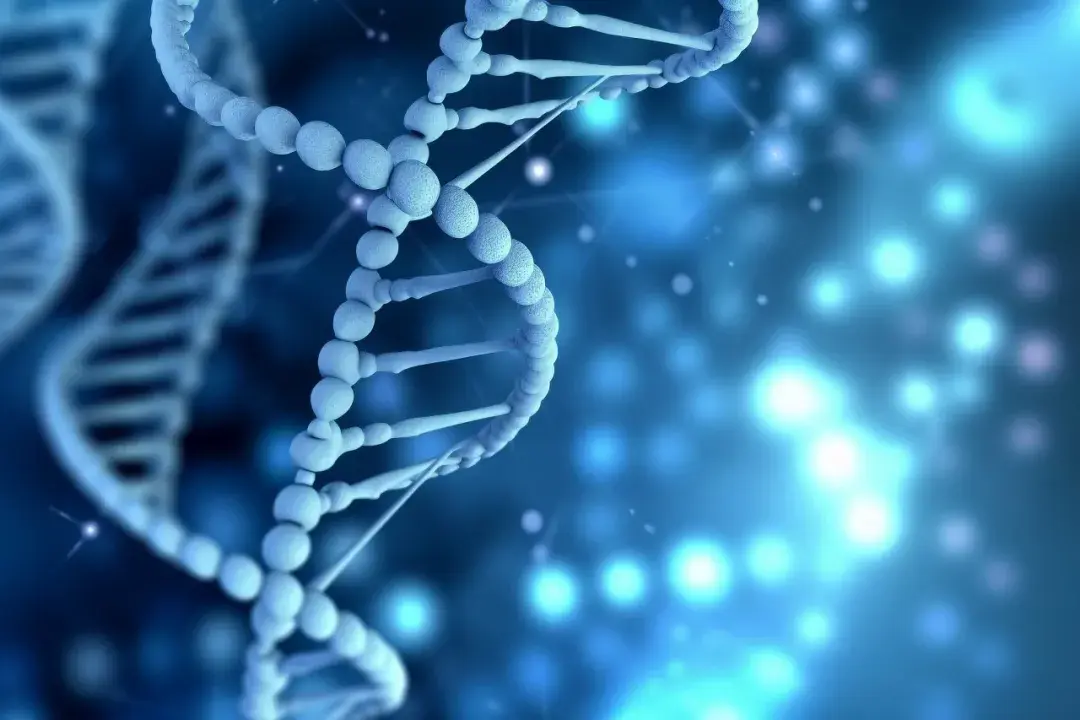 指尖跳跃的珠链——Kasp技术：Snp分型也能更快、更高、更强！ - 知乎