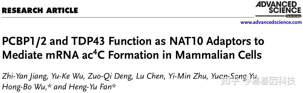 Adv Sci：浙江大学范衡宇团队acRIP-seq揭示哺乳动物mRNA乙酰化修饰ac4C形成的分子机制 - 知乎