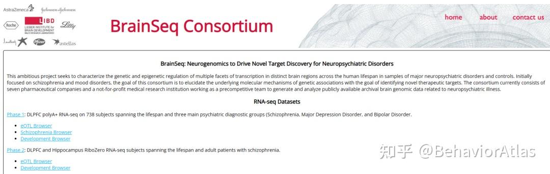 脑科学相关网站分享第二弹，快来收藏吧！ - 知乎