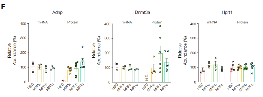 eLife | 蛋白质组学揭示造血干细胞转录后蛋白抑制机制 - 知乎