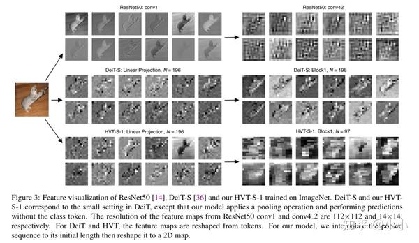 Trasnformer（二十五）HVT - 知乎