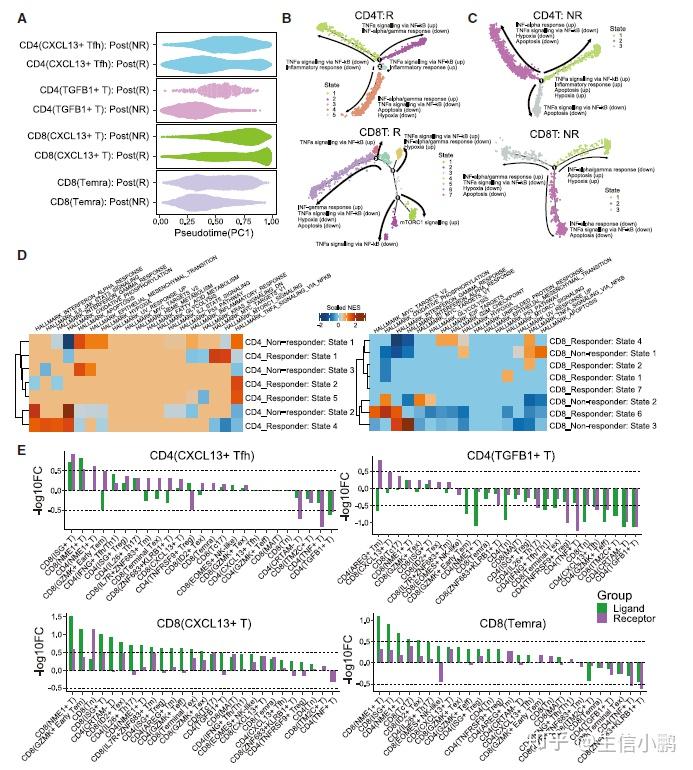Cell Reports Medicine | 免疫治疗响应预测 | 单细胞多组学如何揭示ICB疗效标志物？| 泛癌层面研究 - 知乎
