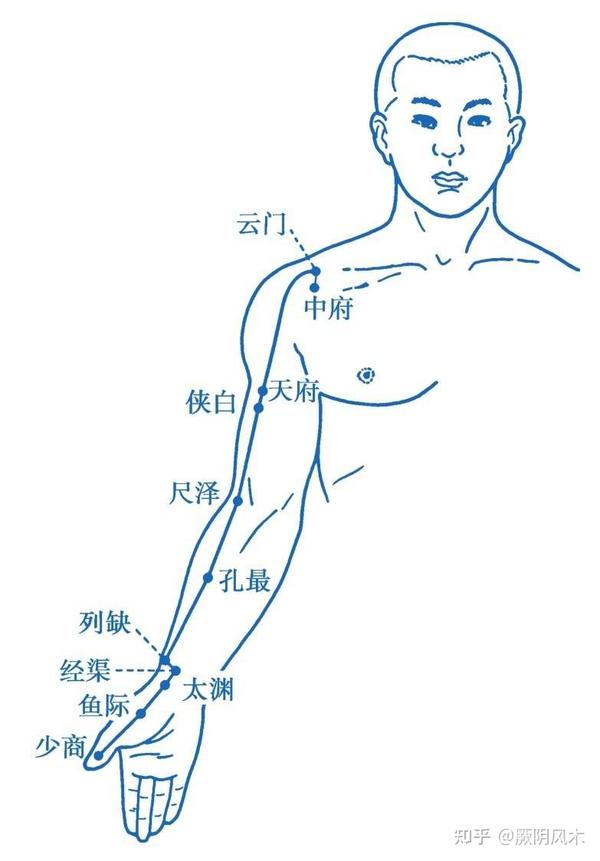 手太阴肺经分寸歌 - 知乎