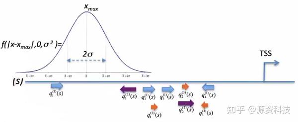 从一团乱麻中梳理生命的乐章-使用TRANSFAC数据库查找Composite Module - 知乎
