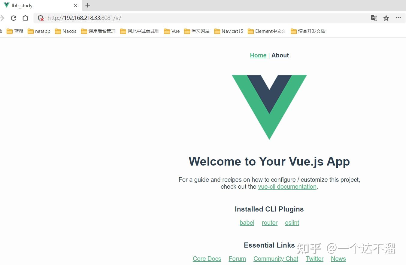 Vue+SpringBoot项目实战(三):技术选型和前端项目创建 - 知乎